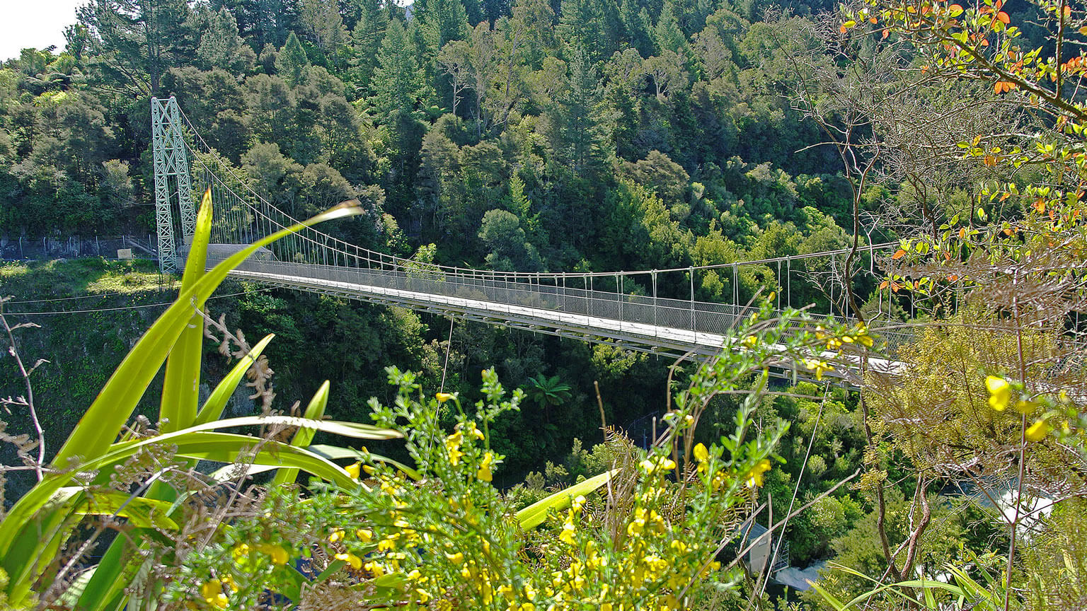 The 'Taniwha' - Waikato River Trails - accommodation guide, where to ...